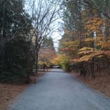 Webb Bridge Park Trail, Georgia - 765 Reviews, Map | AllTrails