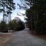 Webb Bridge Park Trail, Georgia - 765 Reviews, Map | AllTrails