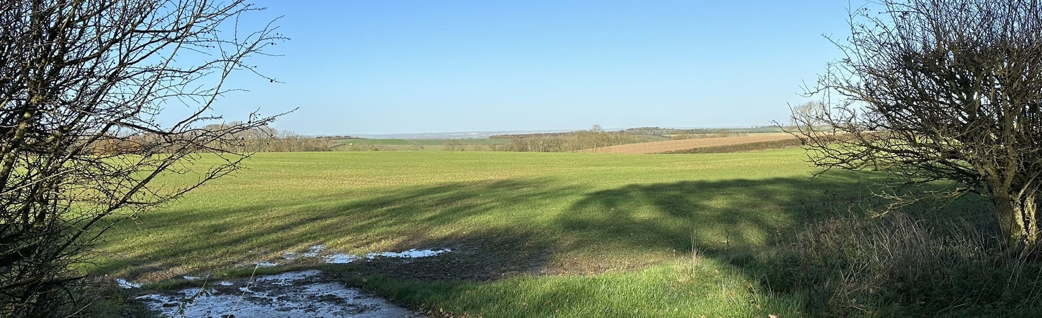 Littlebury Green Circular: 9 Reviews, Map - Essex, England | AllTrails