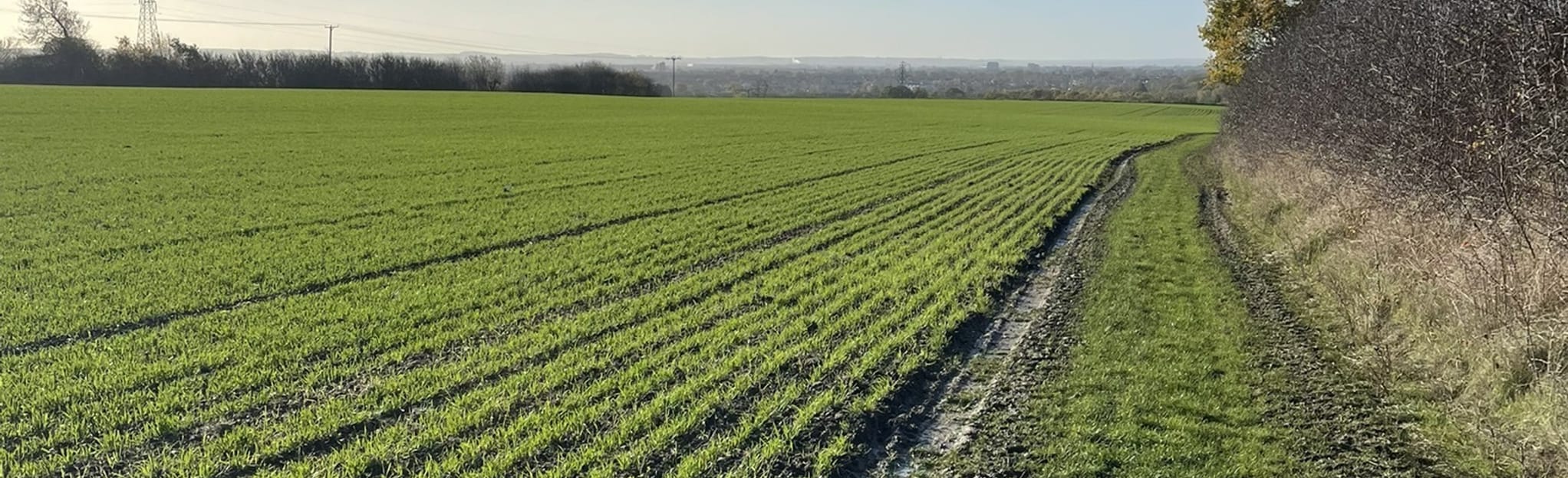 Putnoe Wood and Marsh Wood Circular, Bedfordshire, England - 12 Reviews ...