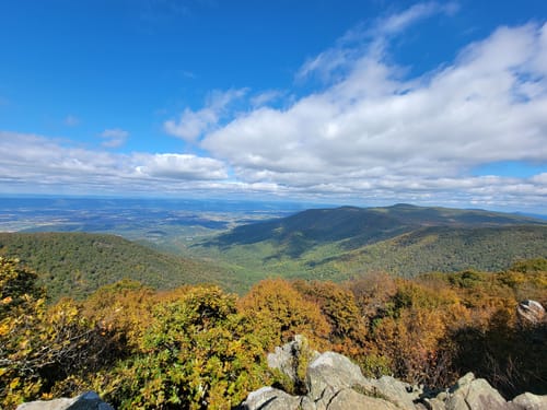 2023 Best 10 Trails and Hikes in Virginia | AllTrails