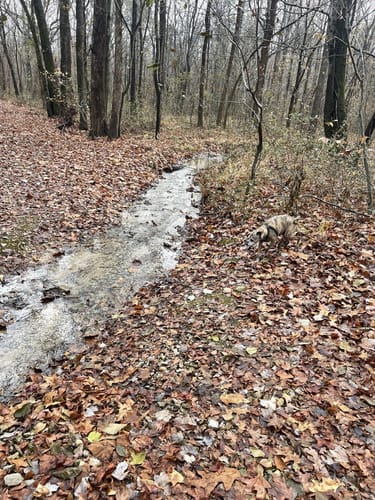 Best Hikes and Trails in Holly Ridge Conservation Area | AllTrails