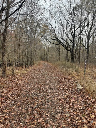 Best Hikes and Trails in Holly Ridge Conservation Area | AllTrails