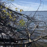 Fort Foote Civil War Ruins, Maryland - 159 Reviews, Map | AllTrails