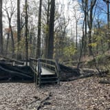 Glover-Archbold Trail, District of Columbia - 381 Reviews, Map | AllTrails