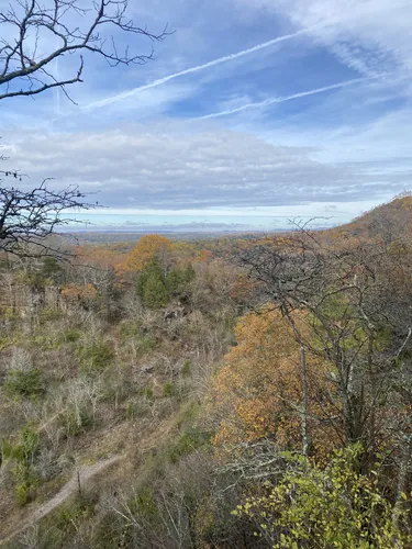 Best Short Trails in Ruffner Mountain Nature Preserve | AllTrails