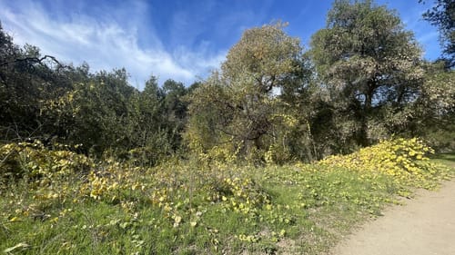 2023 Best 10 Trails and Hikes in Foothill Ranch | AllTrails
