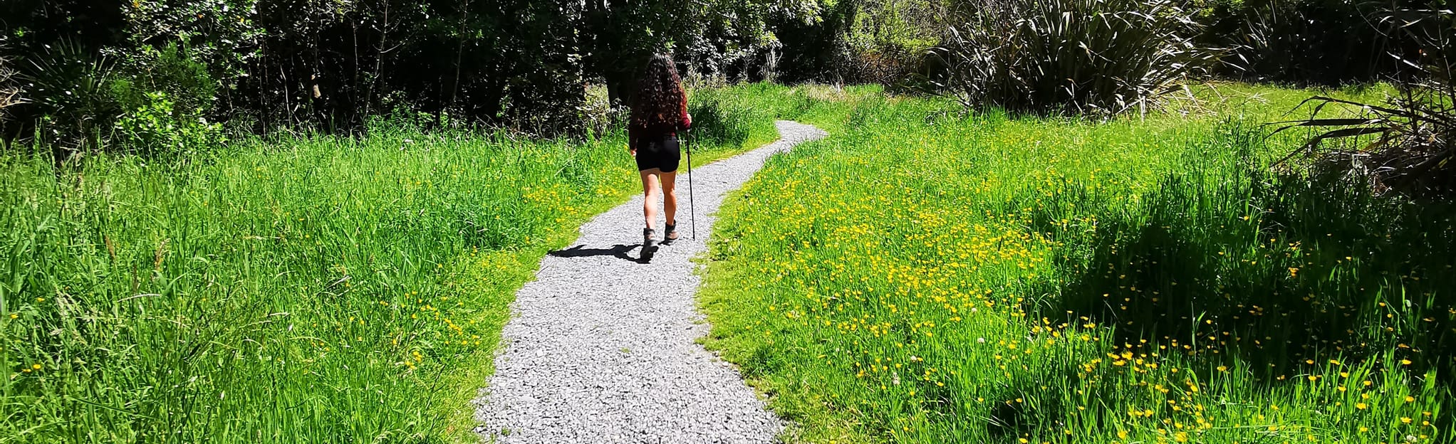 Ashley Gorge Loop and Waterfall Track: 144 fotos - Canterbury, Nueva ...