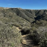 Aliso Peak via Valido Trail, California - 610 Reviews, Map | AllTrails