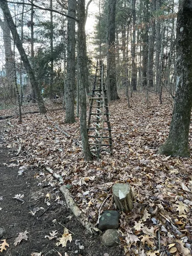 Best Hikes and Trails in Simsbury Farms Rec Complex | AllTrails
