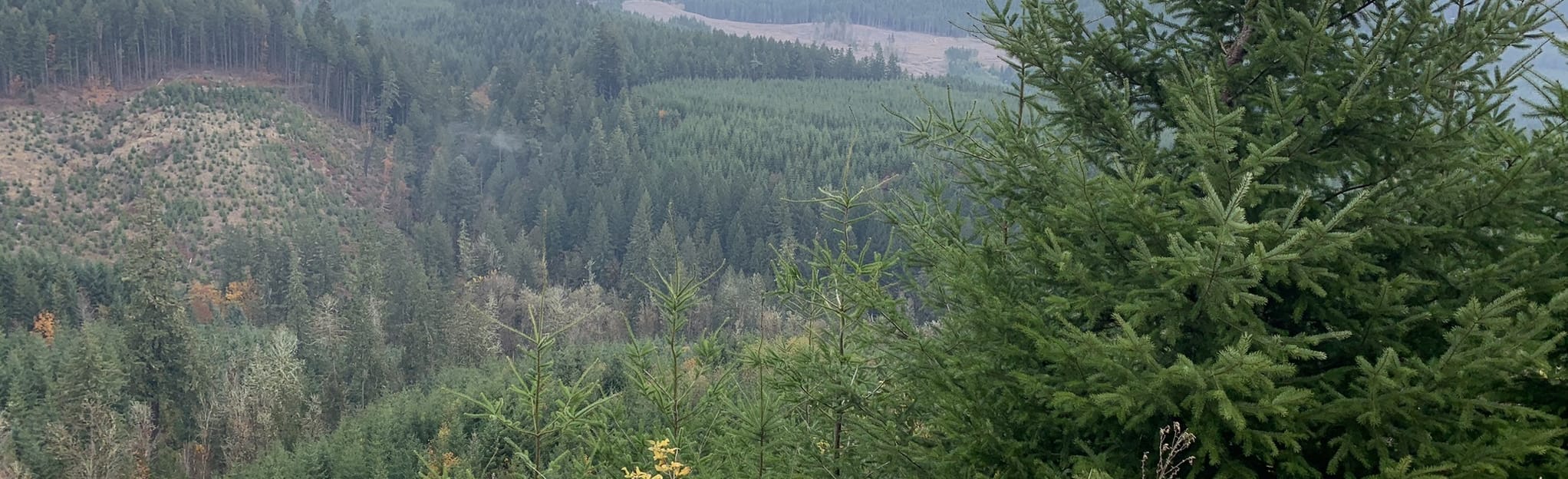 Slide Mountain Loop: 38 Reviews, Map - Oregon | AllTrails