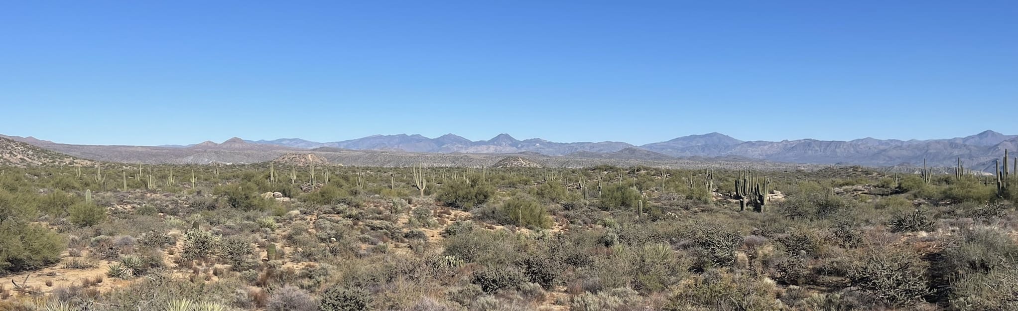 Old Camp, Stagecoach, High Desert, Divide, and Dove Valley Trails Loop ...