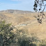 Black Phoebe Trail, California - 40 Reviews, Map | AllTrails