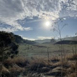 Black Phoebe Trail, California - 40 Reviews, Map | AllTrails