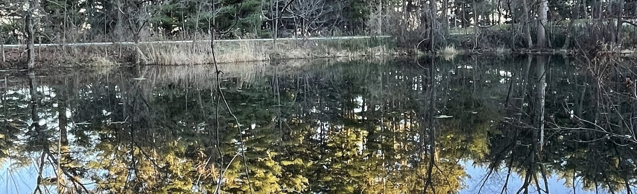 Bendix Woods Mountain Bike Trail - Indiana | AllTrails