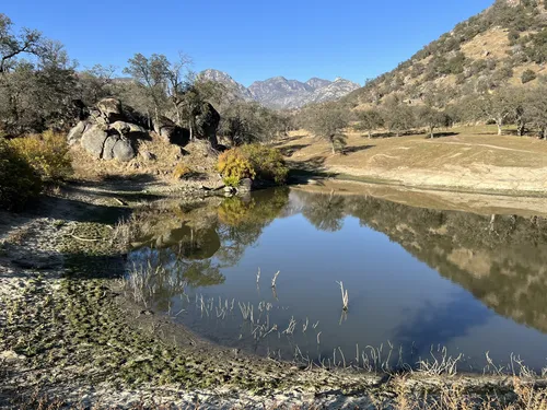 10 Best Trails and Hikes in Three Rivers | AllTrails