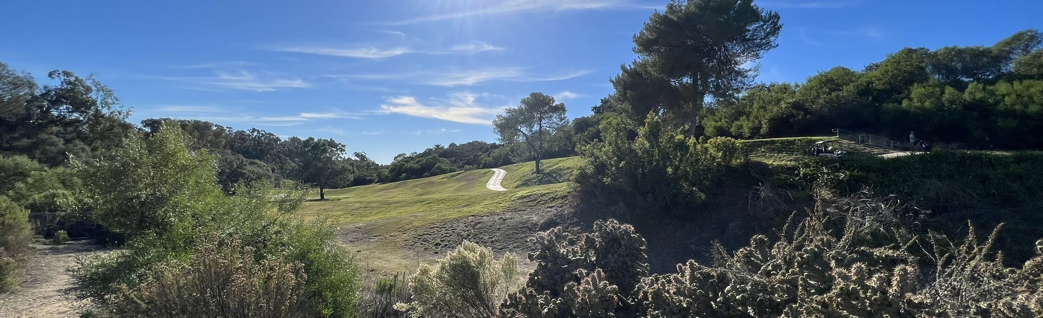 Switzer Canyon Trail West, California - 109 Reviews, Map | AllTrails