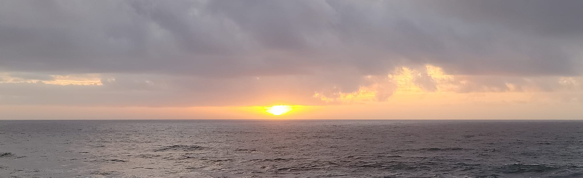 Boiler Bay State Scenic Viewpoint: 27 Reviews, Map - Oregon | AllTrails