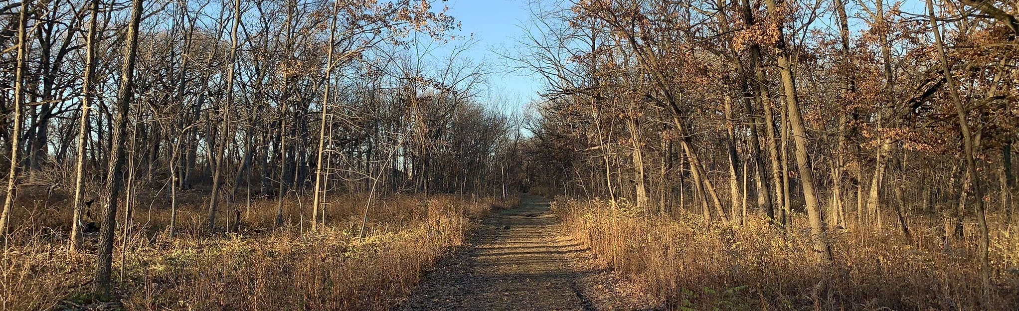 Egermann Woods Loop: 7 Reviews, Map - Illinois | AllTrails