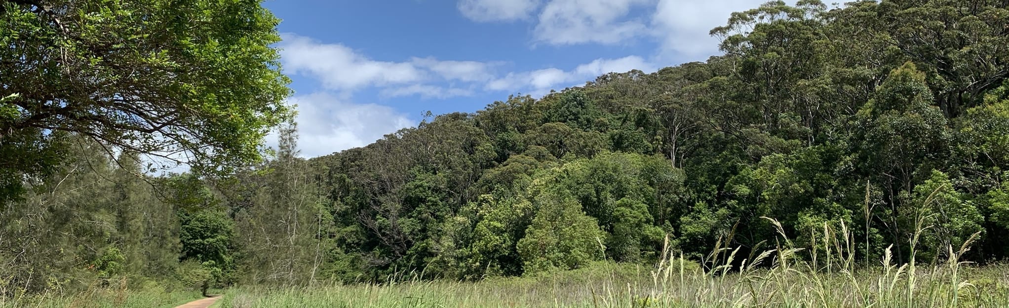 Kincumber to Saratoga Boardwalk, New South Wales, Australia - 85 ...