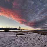 Tahoe Keyes Loop, California - 338 Reviews, Map | AllTrails