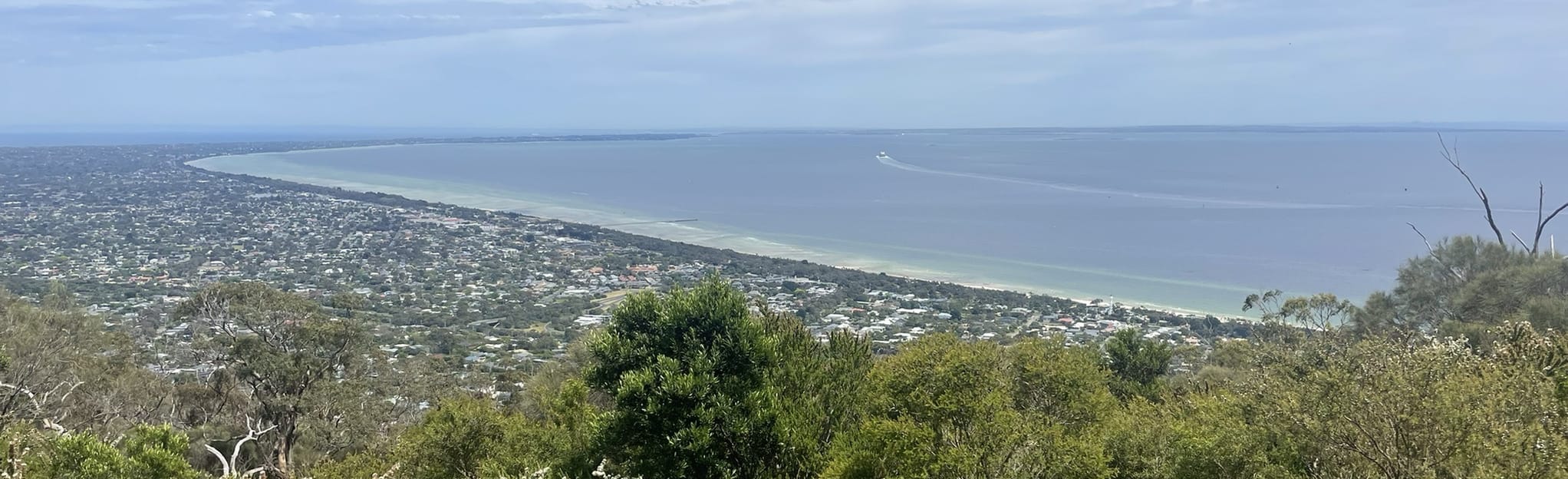 Arthurs Seat Summit Circuit Walk, Victoria, Australia - 136 Reviews ...