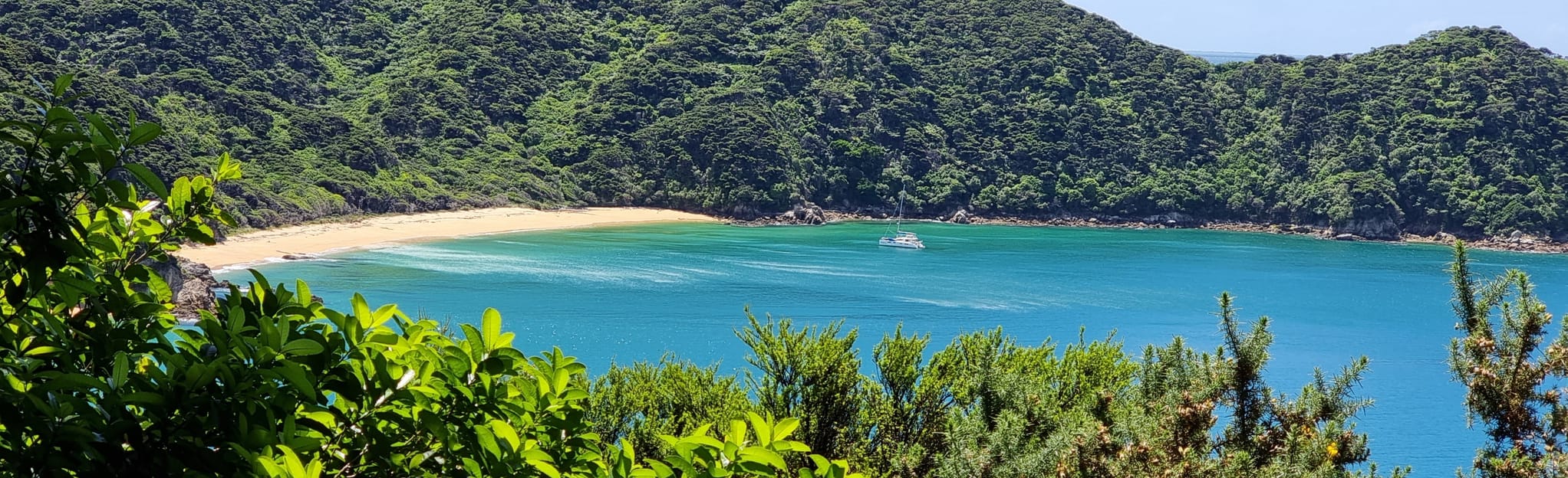 Separation Point Trail - Nelson-Tasman, New Zealand | AllTrails