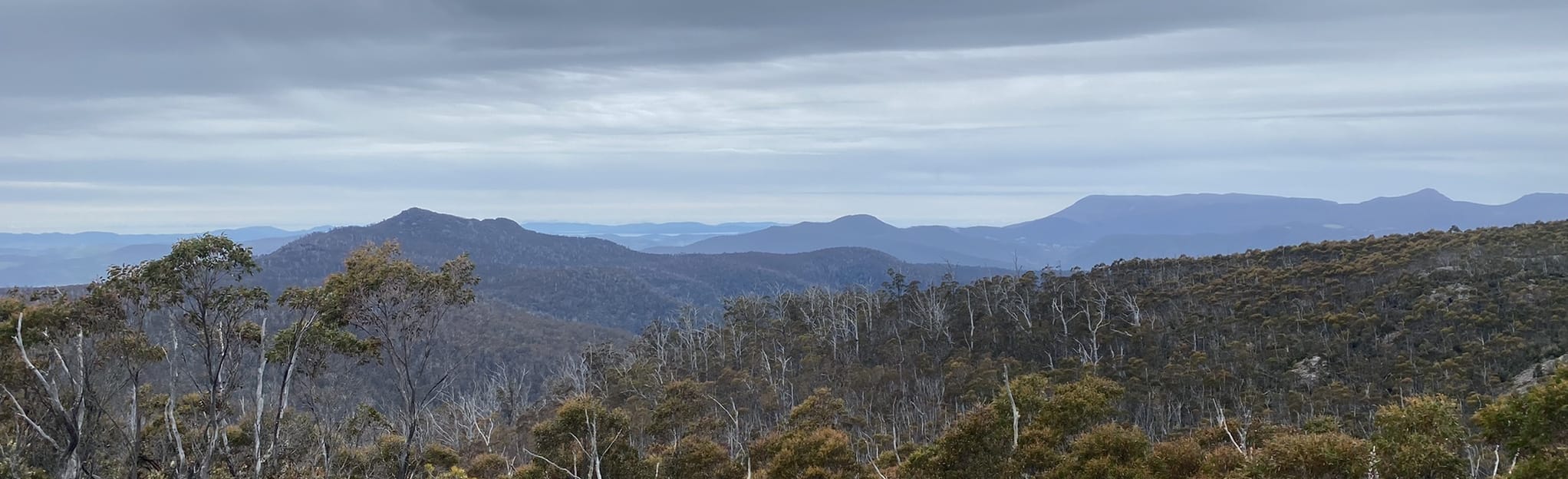 Mount Dromedary and Platform Peak Circuit: 43 fotos - Tasmania ...