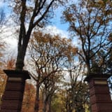 Philips de Jongh Walking Park: 11 fotos - Brabante Septentrional ...