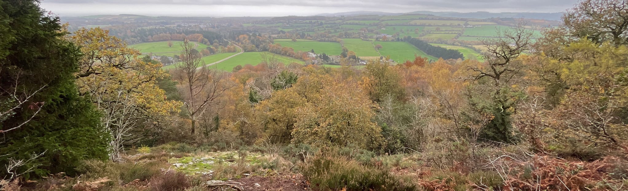 Devil's Glen and Glanmore Castle Loop, County Wicklow, Ireland - 149 ...