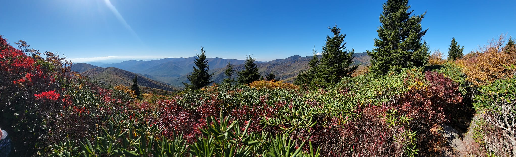 Old Mitchell Toll Road and Pinnacle Loop, North Carolina - 526 Reviews ...