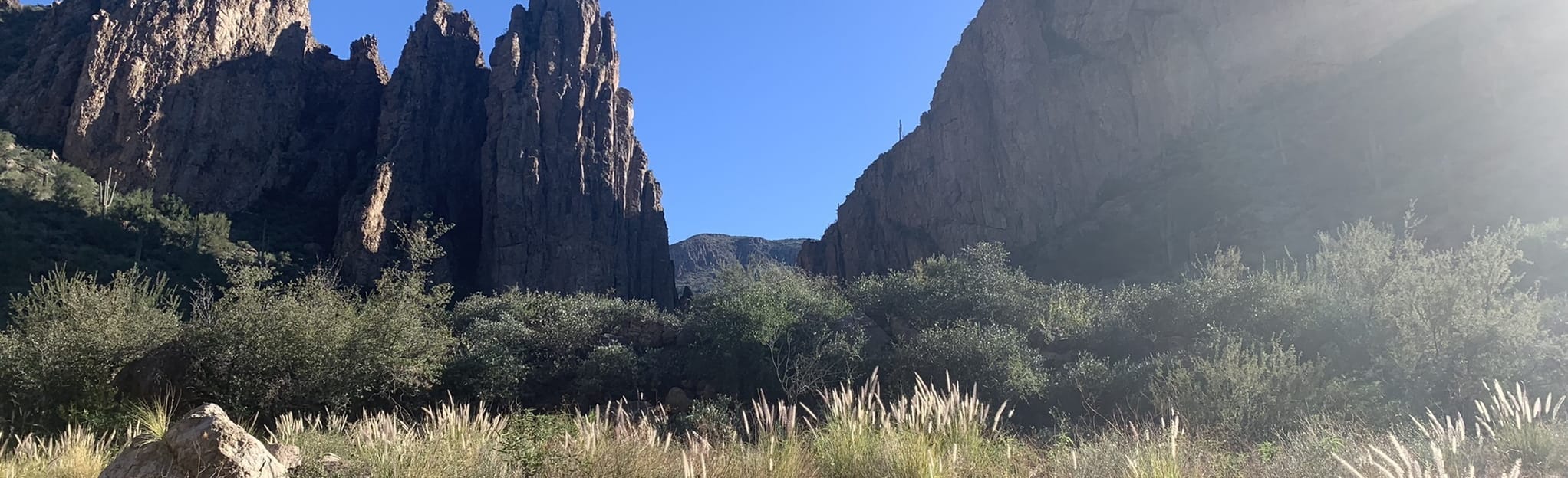 Peters Canyon Trail, Arizona - 210 Reviews, Map | AllTrails