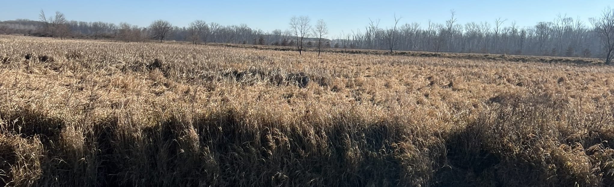 Eagle Marsh Extended Loop: 30 Reviews, Map - Indiana | AllTrails