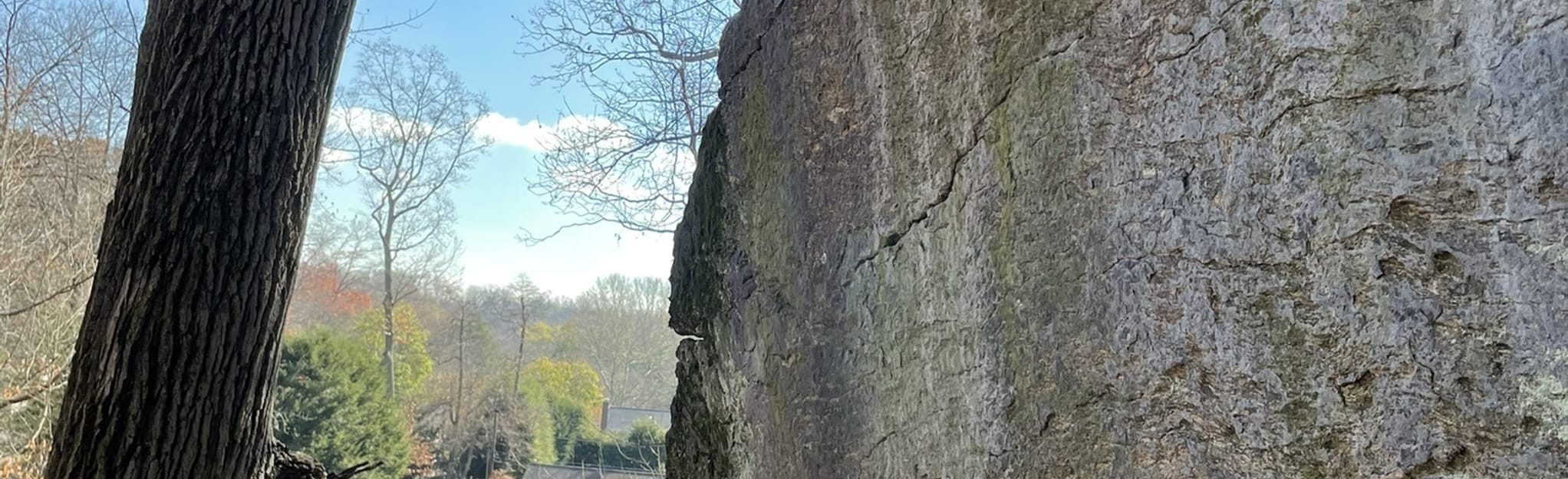 Samp Mortar and Mountain Laurel: 114 Reviews, Map - Connecticut | AllTrails