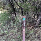 Pace Bend Park Trail, Texas - 536 Reviews, Map | AllTrails