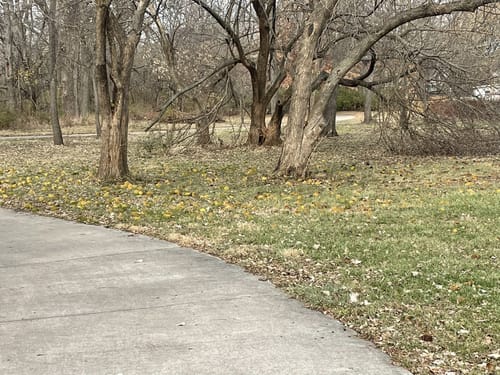 2023 Best Walking Trails in Raymore | AllTrails