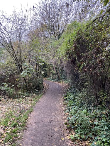 Best Hikes and Trails in Tooting Bec Common | AllTrails