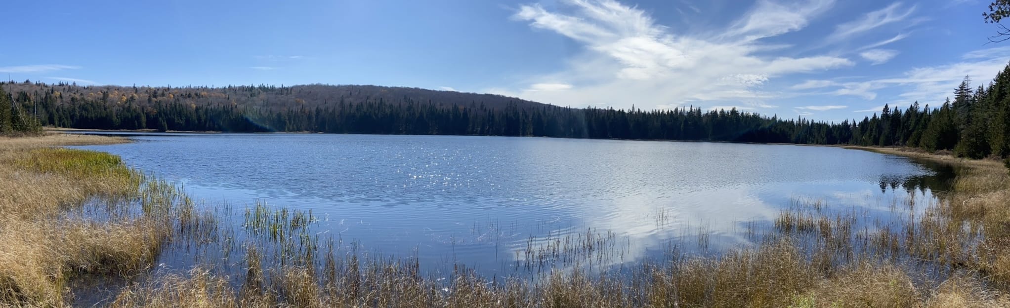 Stannard Pond Peak, Vermont - 81 Reviews, Map | AllTrails