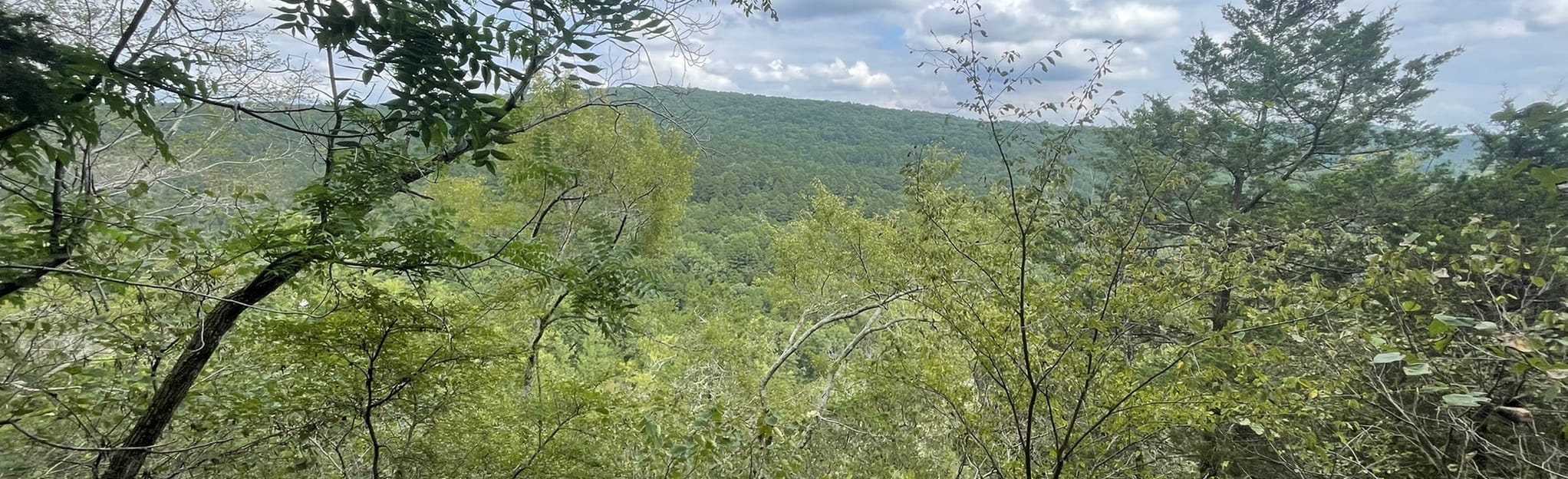 Sam A. Baker State Park Campground: 258 foto - Missouri | AllTrails