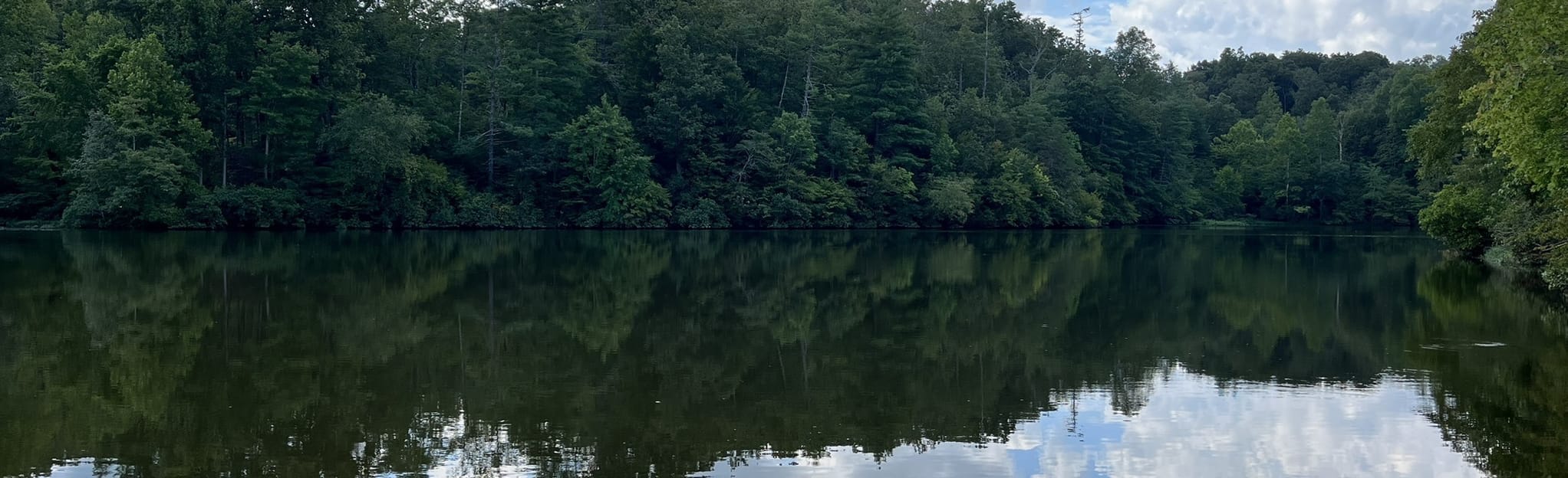 Totier Creek Reservoir Park Loop, Virginia - 85 Reviews, Map | AllTrails