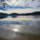 Carvins Cove Reservoir Trail, Virginia - 376 Reviews, Map | AllTrails