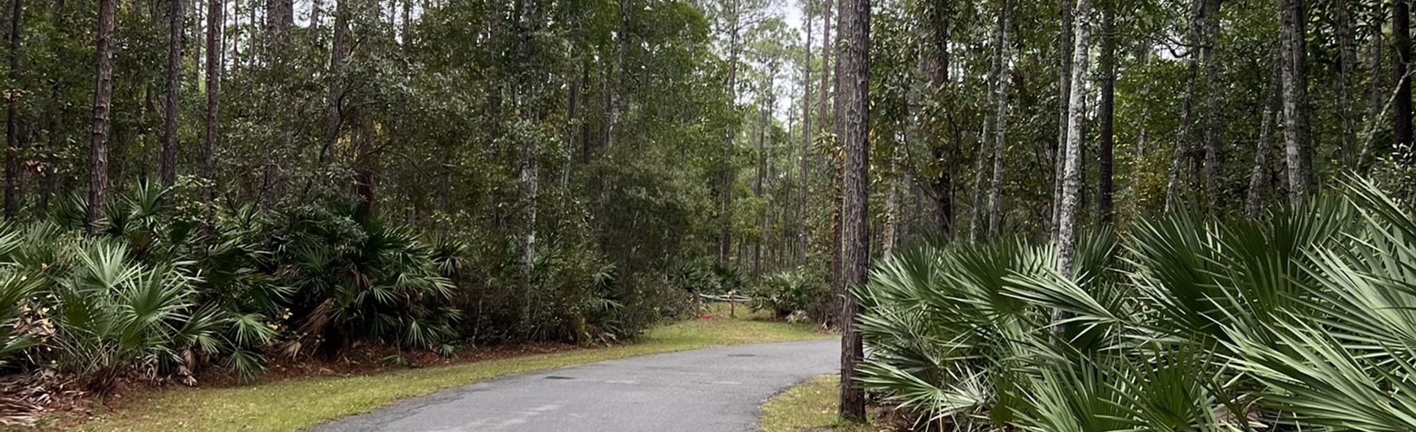 Nocatee Pelican Path, Florida - 37 Reviews, Map | AllTrails