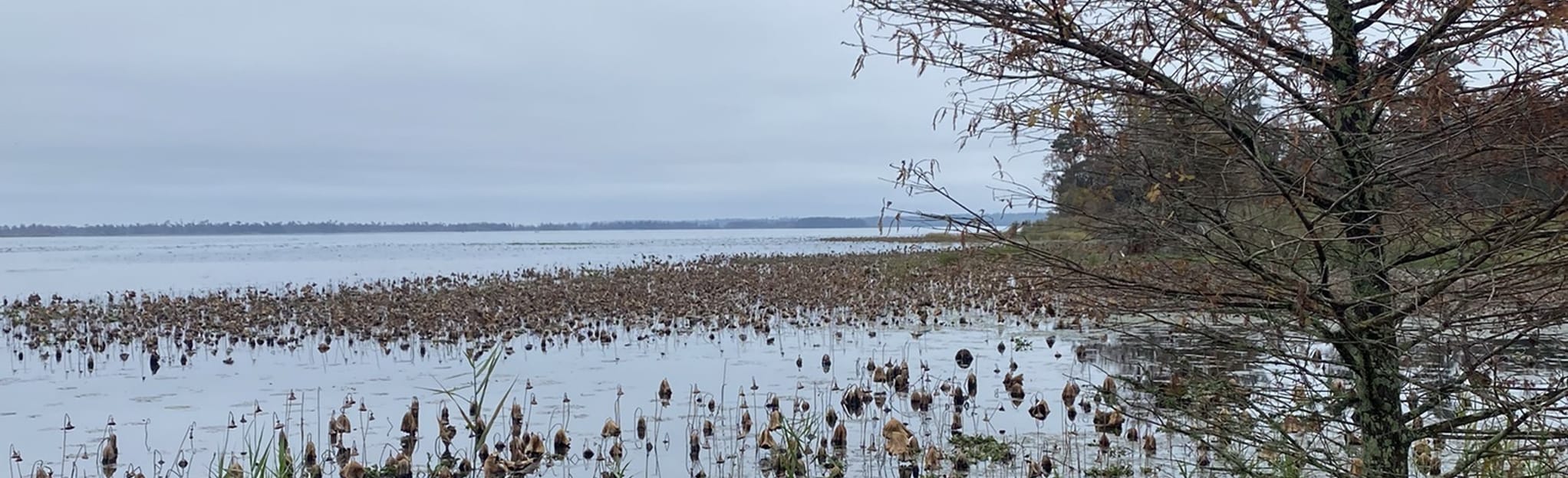 Three Rivers State Park Lakeview Trail: 70 Reviews, Map - Florida ...