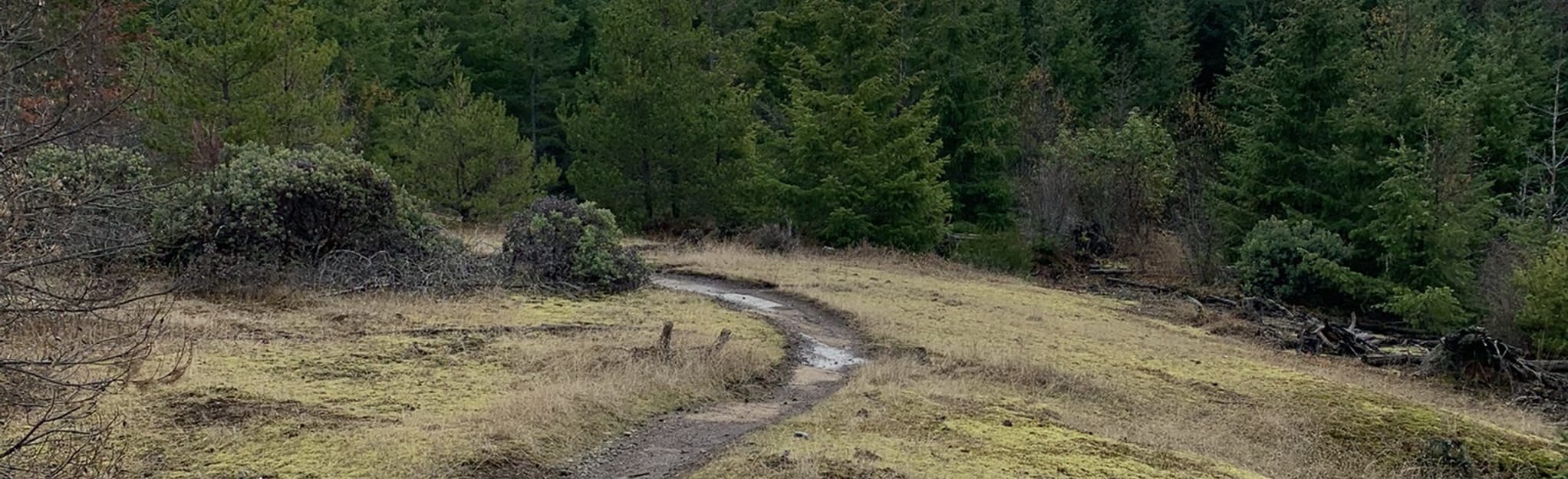 Ridge Runner Loop: 78 Reviews, Map - British Columbia, Canada | AllTrails