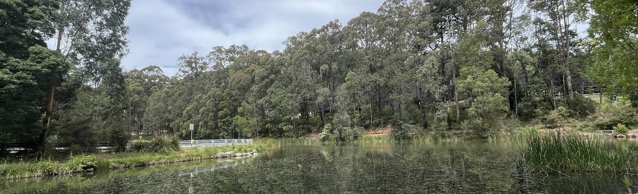 Emerald to Cockatoo Trail, Victoria, Australia - 283 Reviews, Map ...