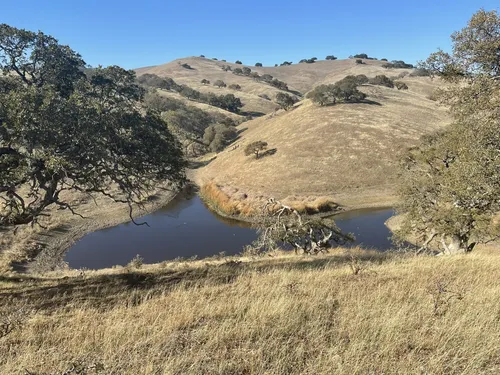 Best Hikes and Trails in Pacheco State Park | AllTrails