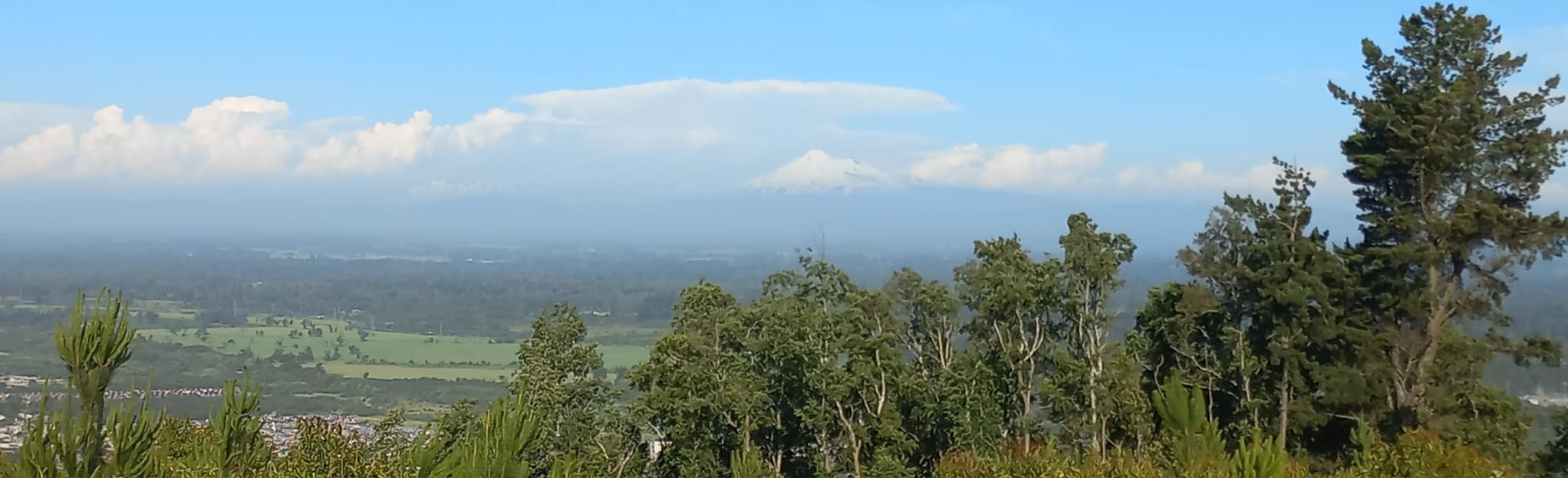 Sendero MTB Snake Line: 1 Reviews, Map - Araucanía, Chile | AllTrails