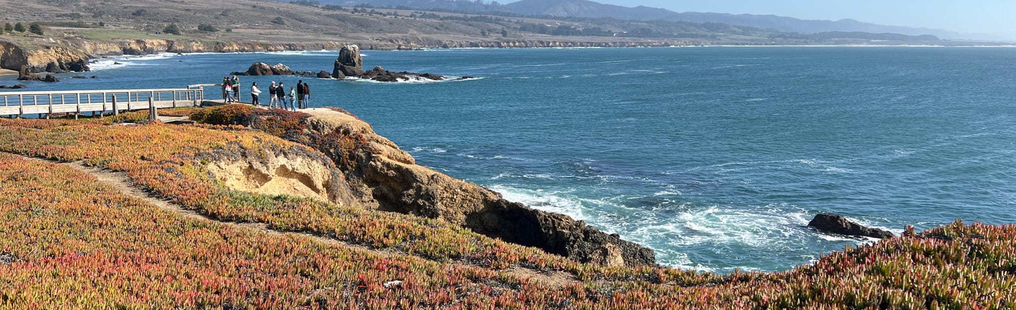 Pigeon Point Lighthouse: 50 Reviews, Map - California | AllTrails