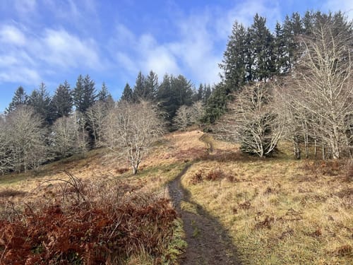 2023 Best 10 Trails and Hikes in Oregon | AllTrails