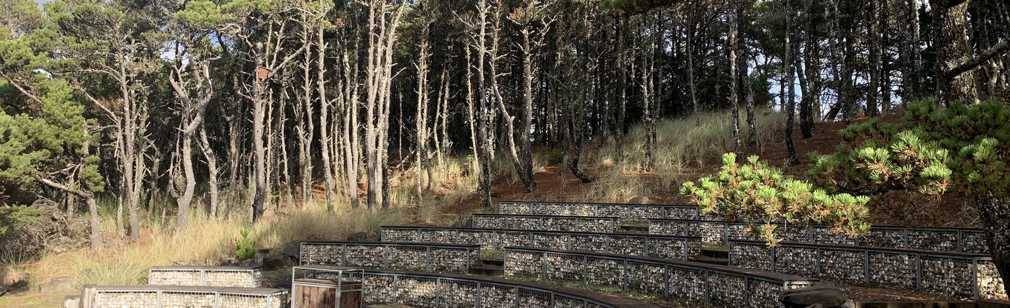 Cooper Ridge Nature Trail, Oregon - 116 Reviews, Map | AllTrails